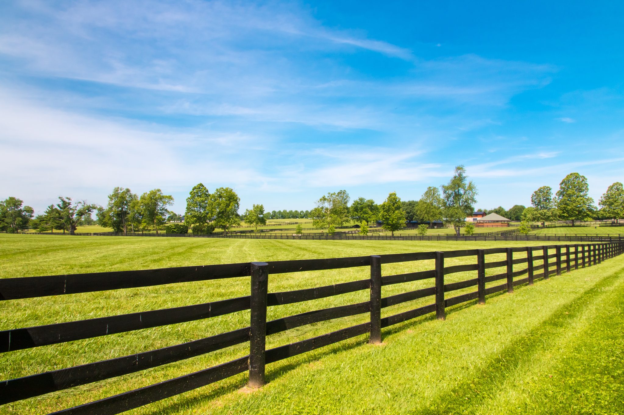 Green River Post | Fence Posts & Boards