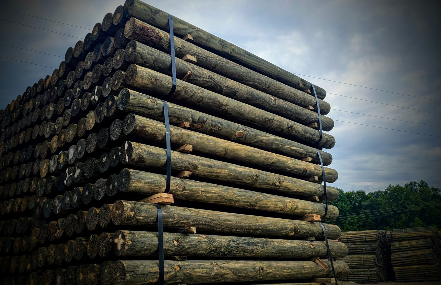 Treated CCA Posts | Fence Posts That Last